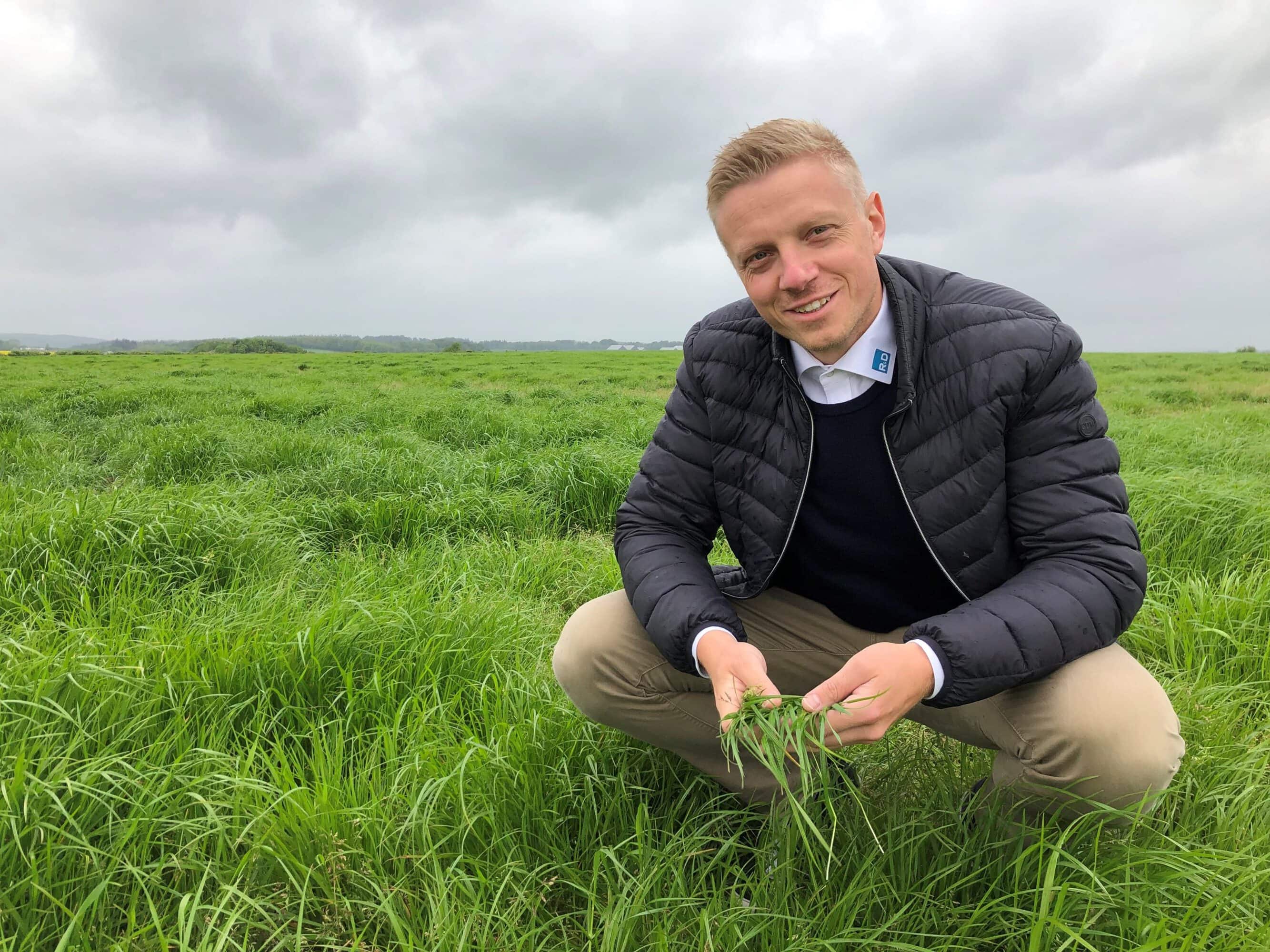 Grass as a more climate friendly alternative to soya protein - R&D Test ...