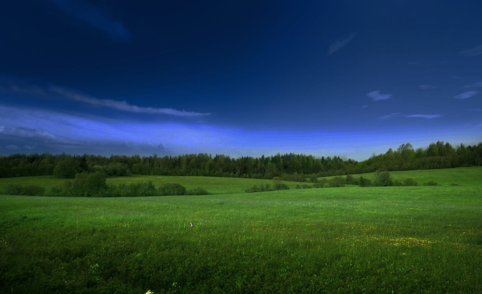 R&D Grass protein factory for a more sustainable tomorrow