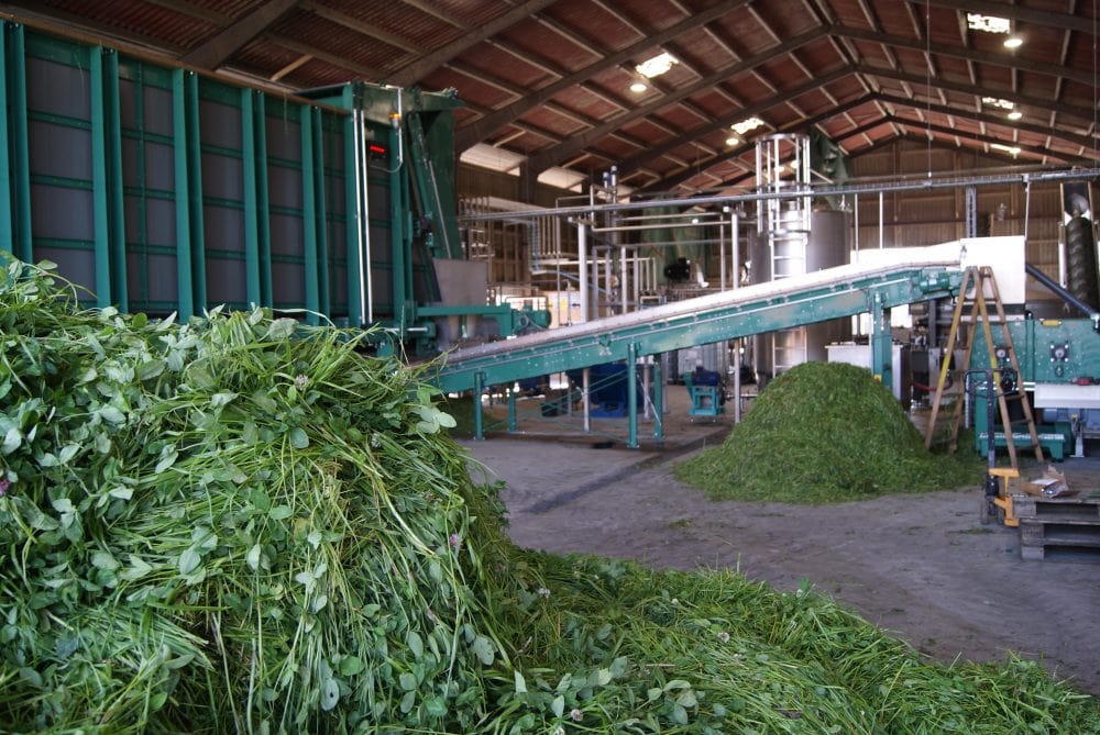 R&D Grass protein factory for a more sustainable tomorrow